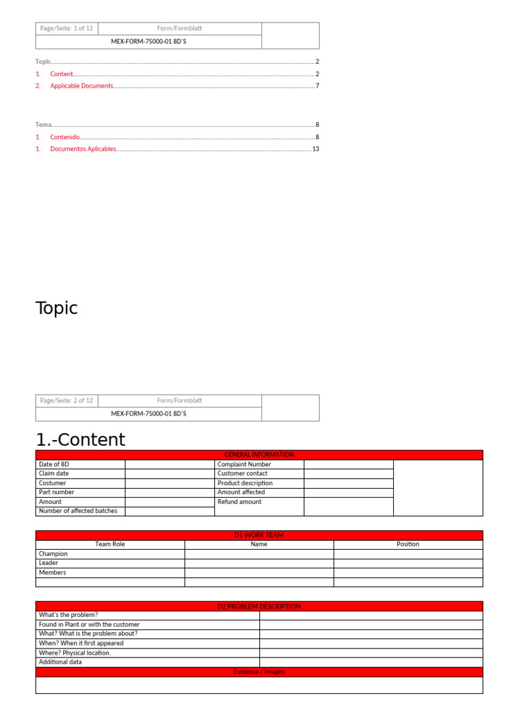 Formato 8D S | PDF
