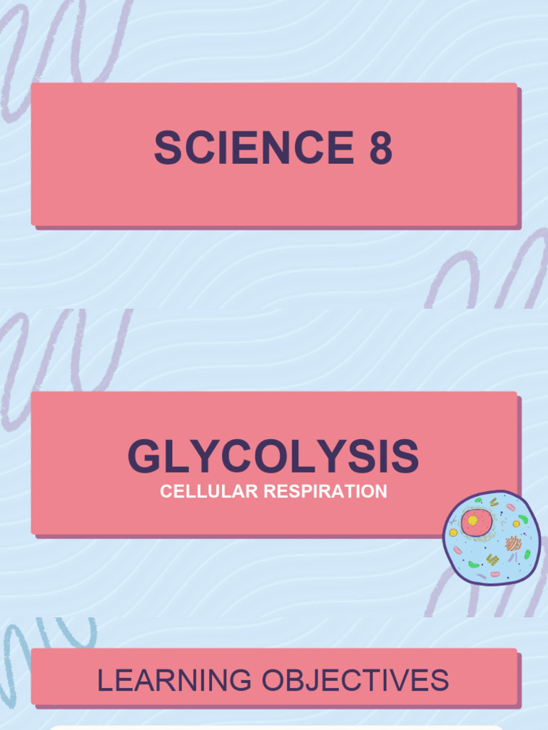 Glycolysis Process in Cellular Respiration | PDF