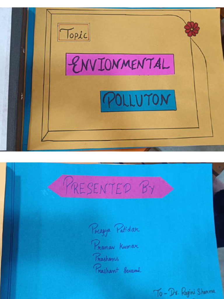 Human Value Project | PDF