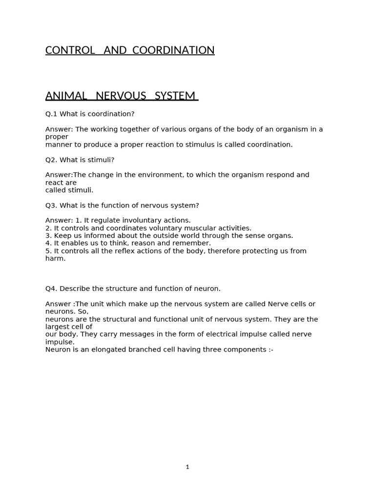 Understanding Animal Nervous System | PDF | Neuron | Nervous System