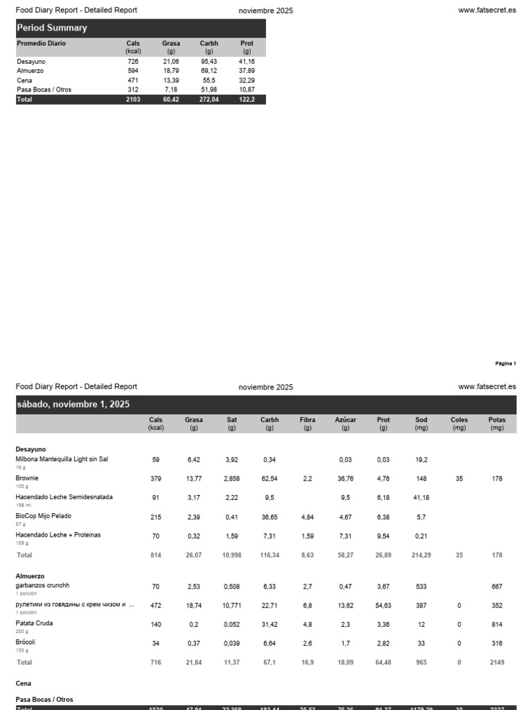 Informe Diario de Comidas Noviembre 2025 | PDF | Cocina | Alimentos