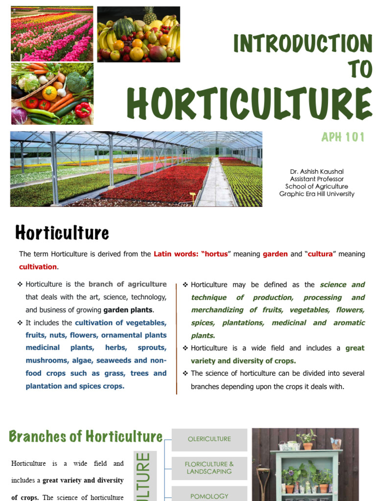 Introduction to Horticulture Basics | PDF | Cucurbita | Vegetables