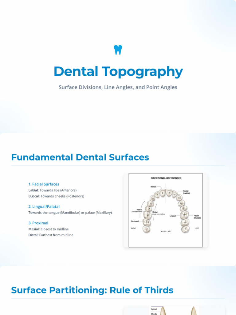 Dental Topography | PDF