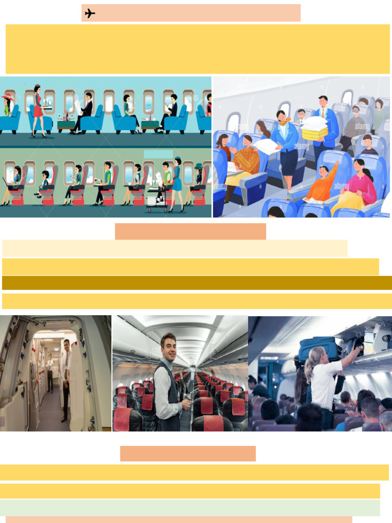 In-Flight Passenger Services Overview | PDF