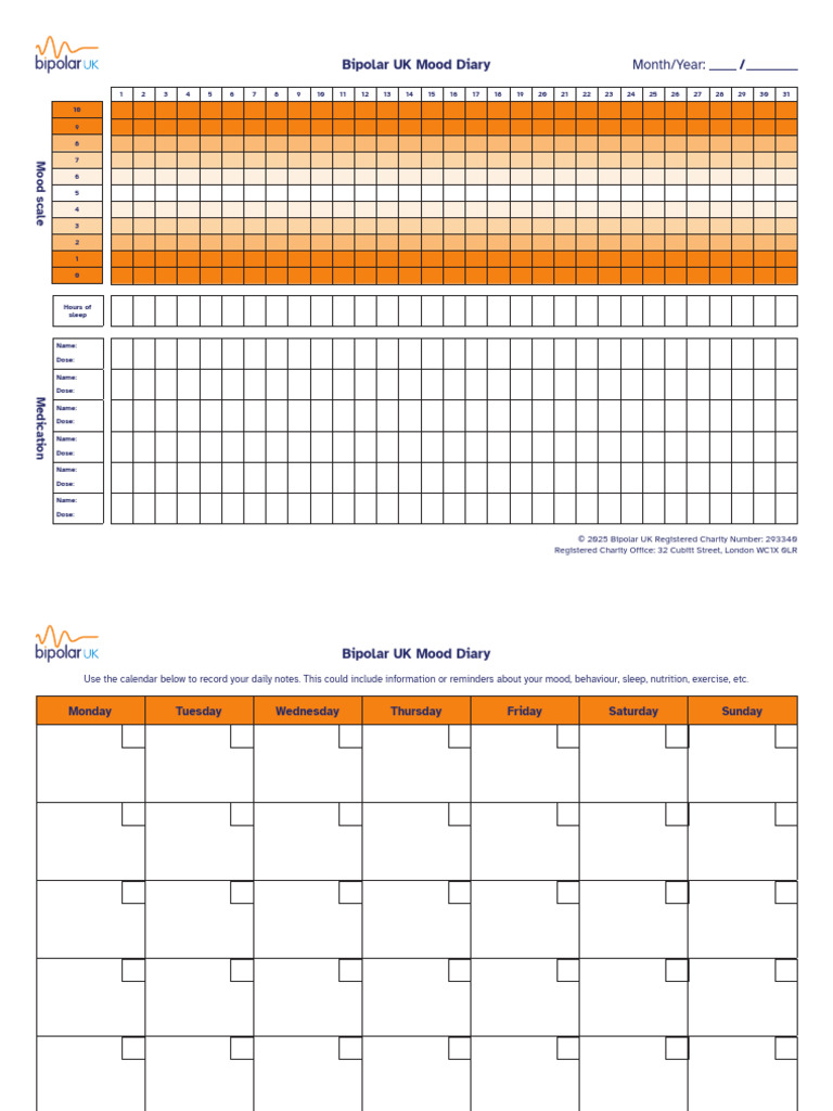 Mood Diary | PDF
