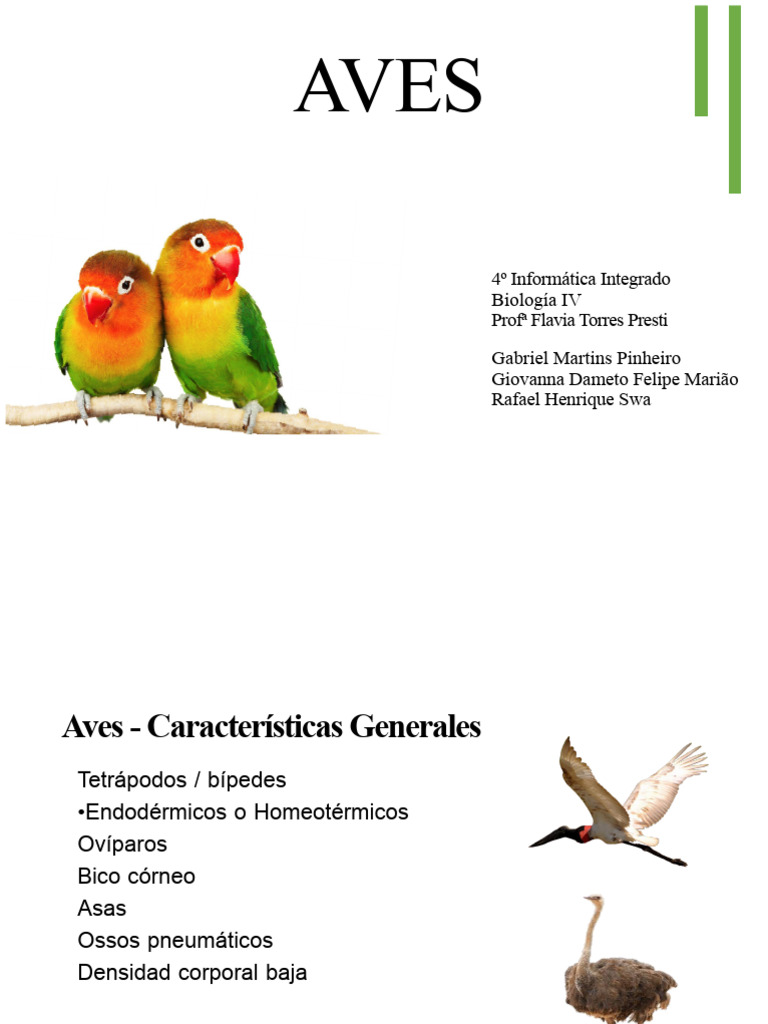 Características y Sistemas de las Aves | PDF