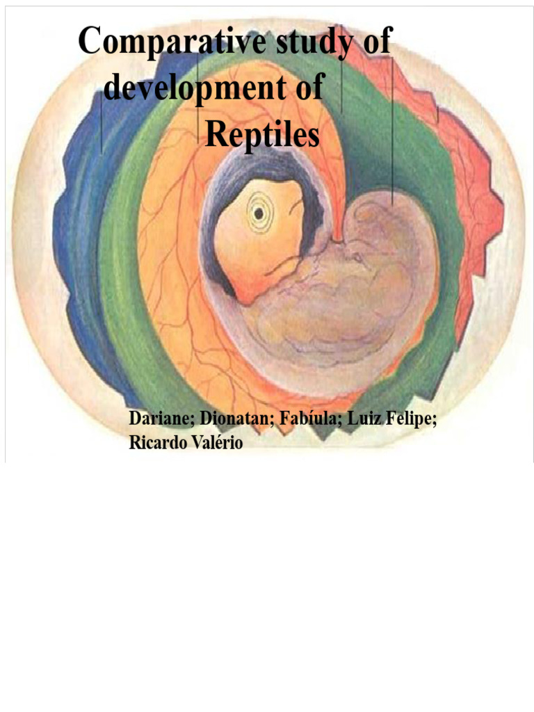Reptile Development and Reproduction Study | PDF | Embryo | Reptile