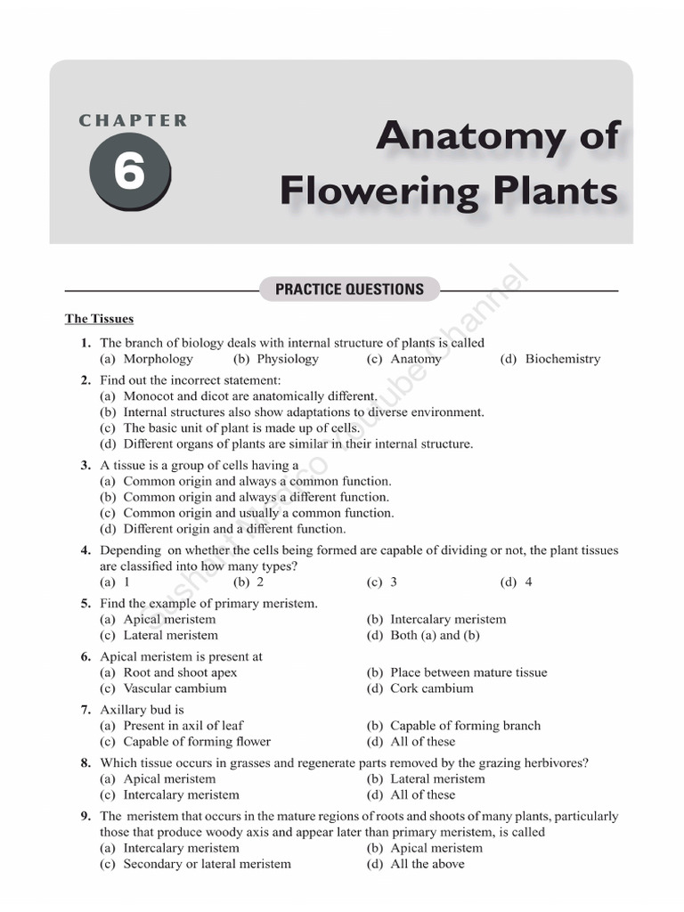 Anatomy of Flowering Plants | PDF