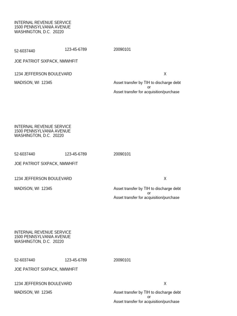 A Irs Sample Template | PDF