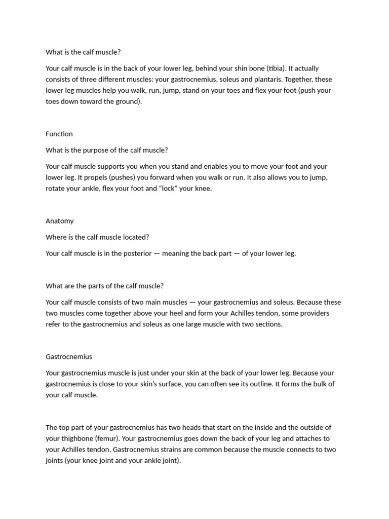 What is the Calf Muscle | PDF | Human Leg | Foot