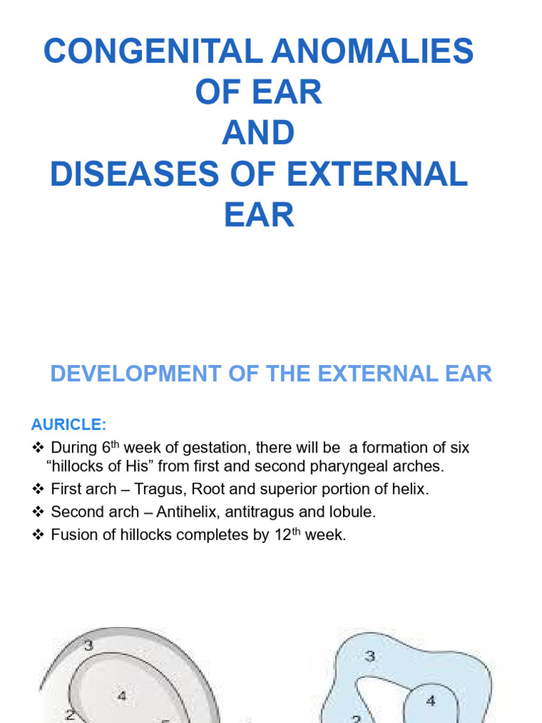 Disease of External Ear | PDF | Ear | Human Head And Neck