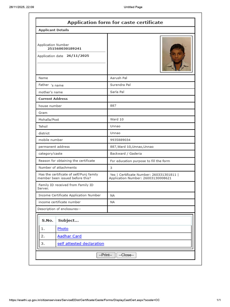 Caste Certificate Application Form | PDF