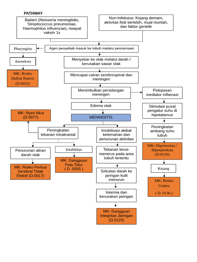 Pathway | PDF