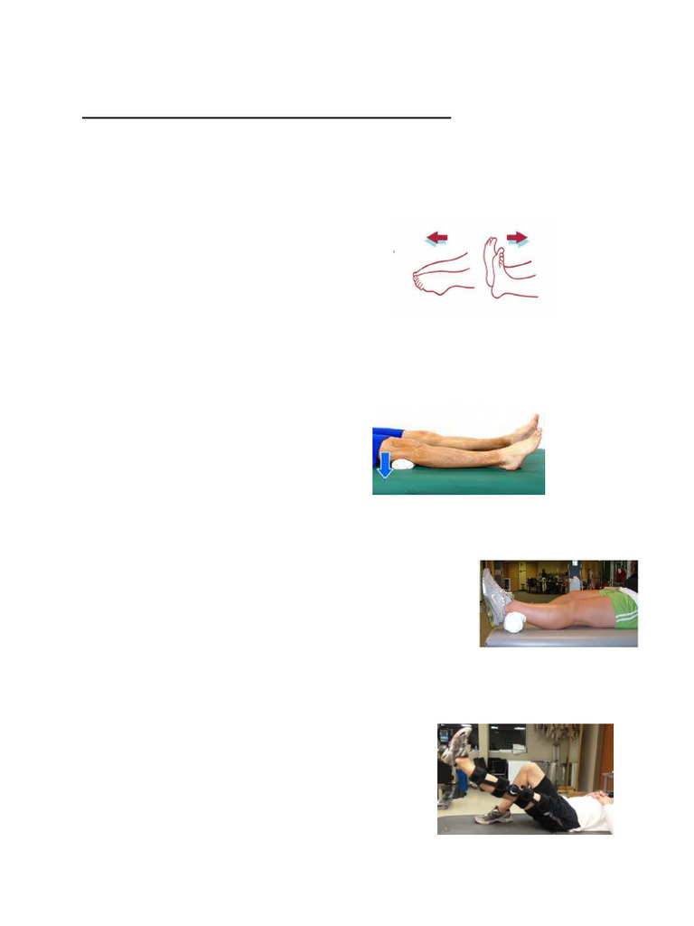 Acl Reconstruction Exercise Guide Pdf Knee Anatomical Terms Of Motion