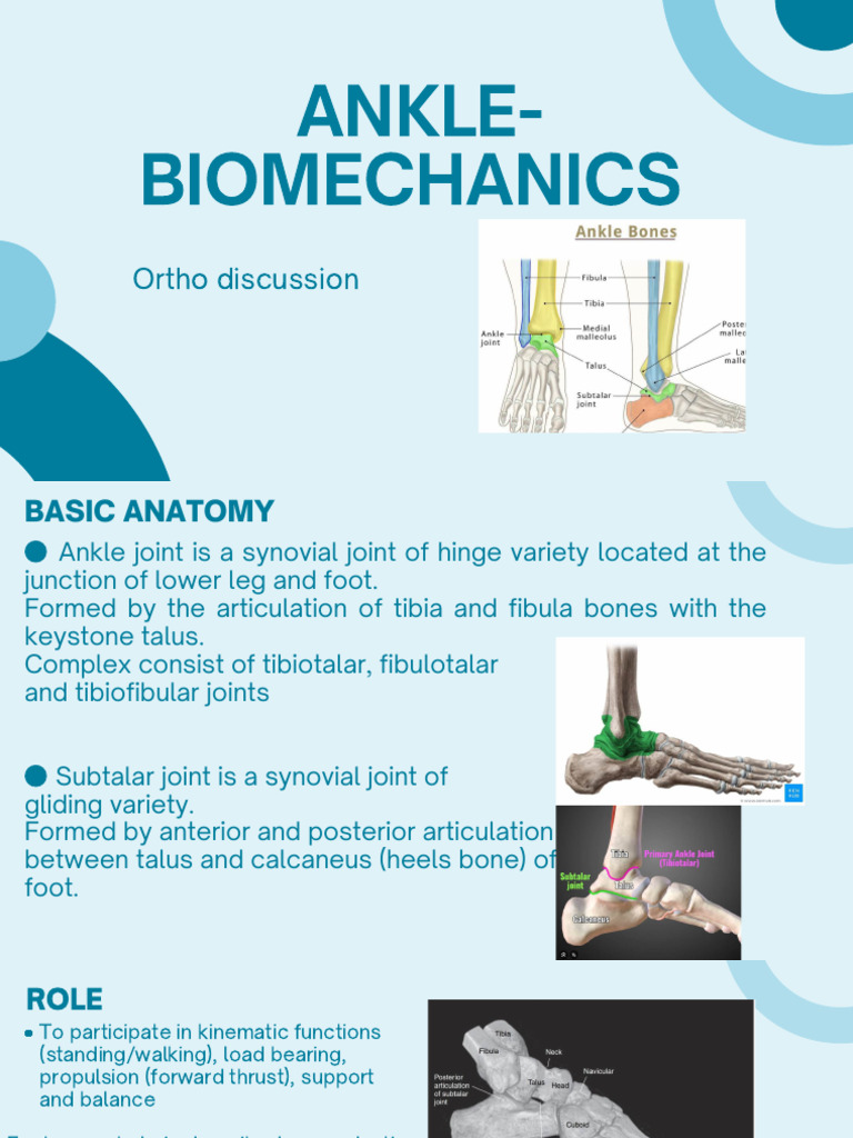 Ankle Biomechanics and Joint Stability | PDF | Ankle | Foot