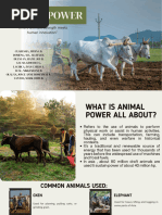 Understanding Draft Animals in Agriculture | PDF | Cattle | Agriculture