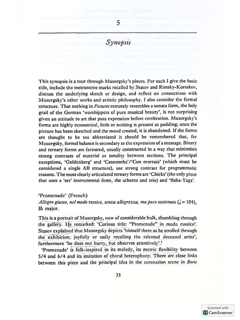 Pictures Synopsis | PDF