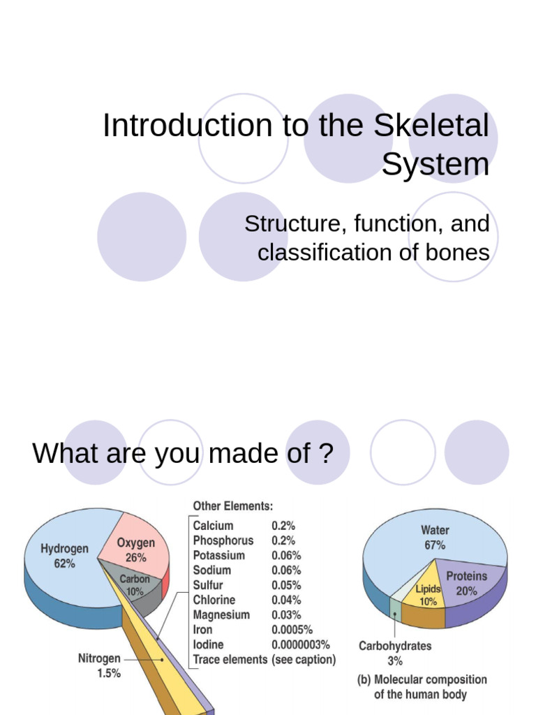 The Skeletal System Urmat Introduction | PDF | Anatomical Terms Of ...