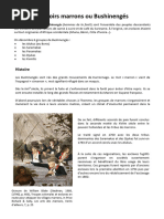 Histoire des Bushinengés en Guyane | PDF