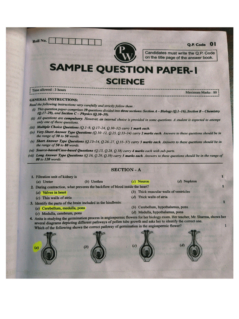 Sample Question Papers Mcq's | PDF
