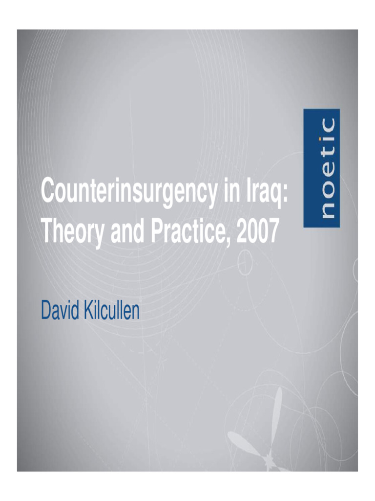 Counterinsurgency Insights from Iraq | PDF | Insurgency | Military