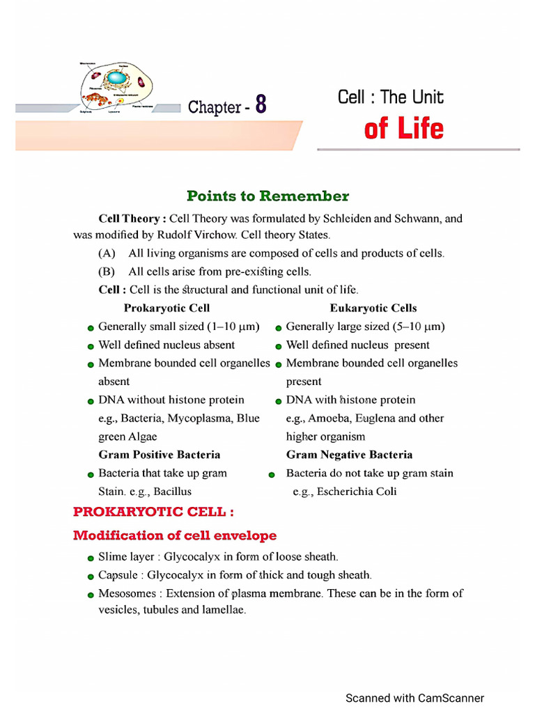 11th Biology Short Notes_251205_173324 | PDF