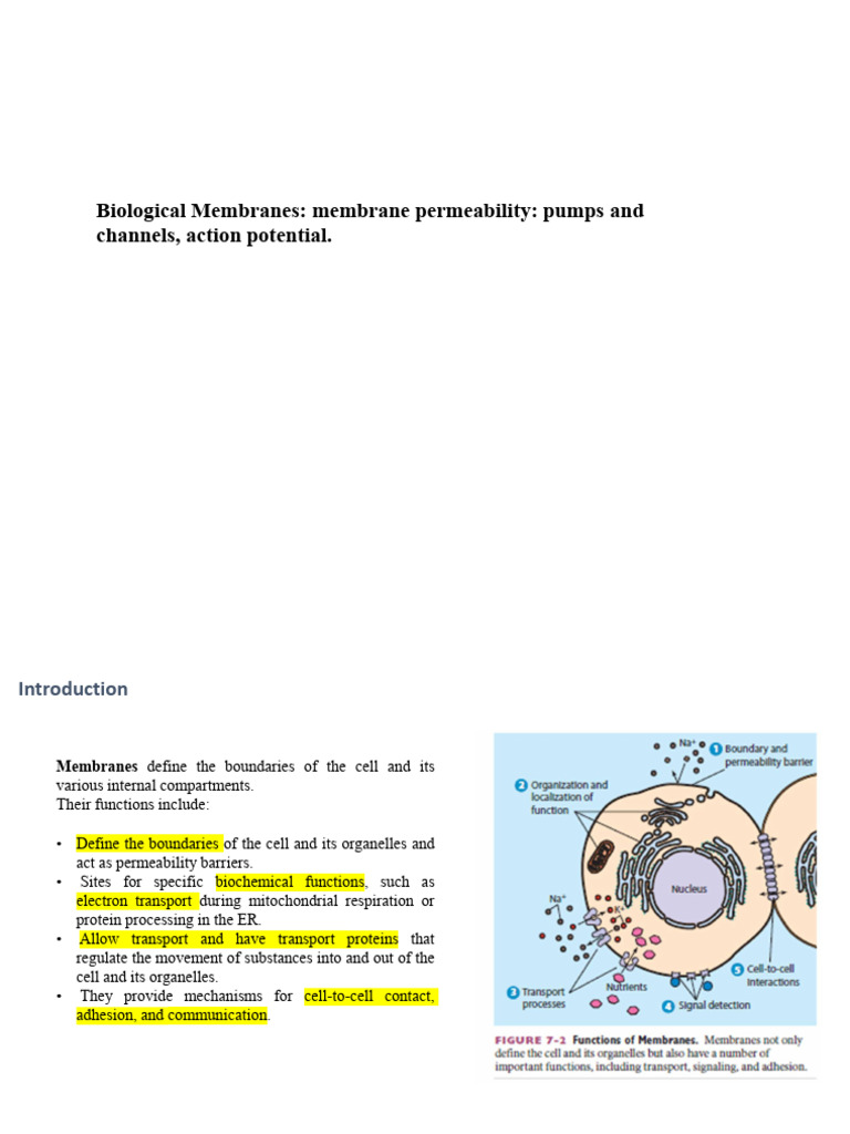 Unit 2 - Biological Membranes - Pumps and Channels | PDF | Ion Channel ...