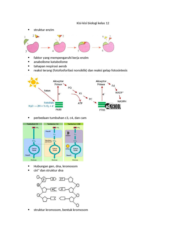 Kisi-kisi Biologi Kelas 12 | PDF