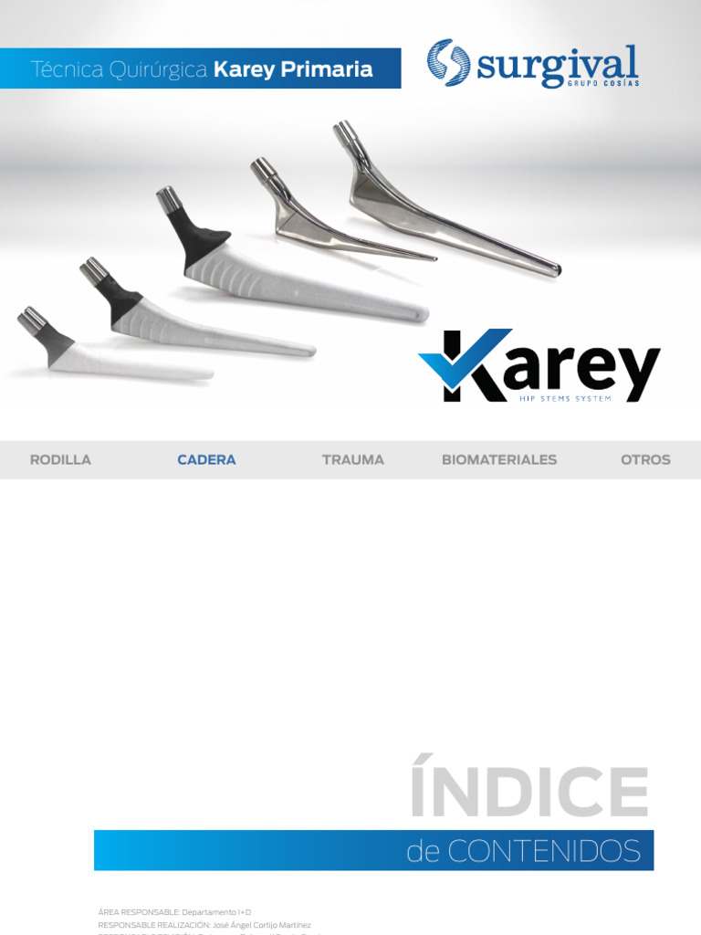 Karey Primaria TQ + Cat 09-21 | PDF | Hueso | Artritis