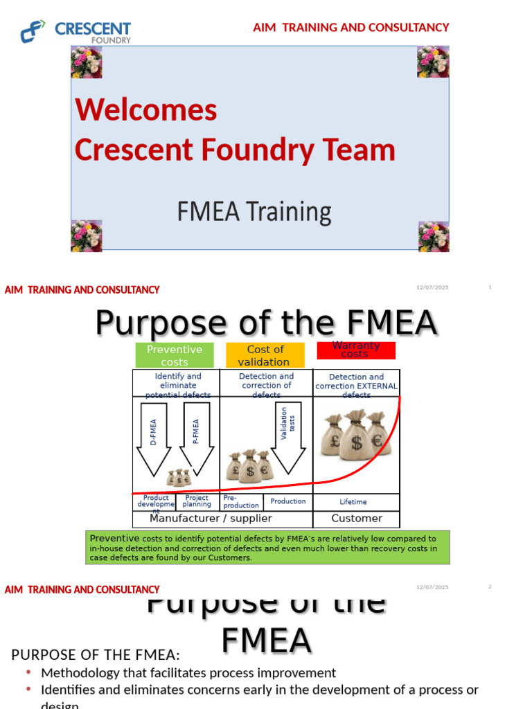 FMEA Training and Consultancy Overview | PDF | Business