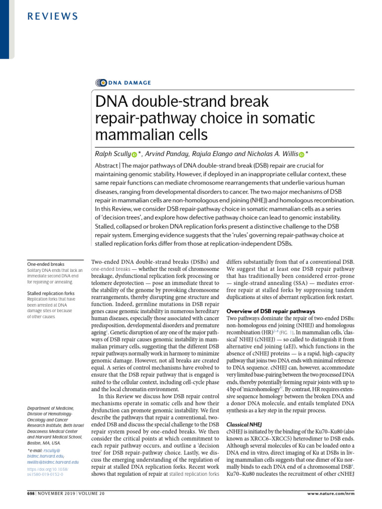 DNA Double-Strand Break Repair Pathways | PDF | Dna Repair | Dna