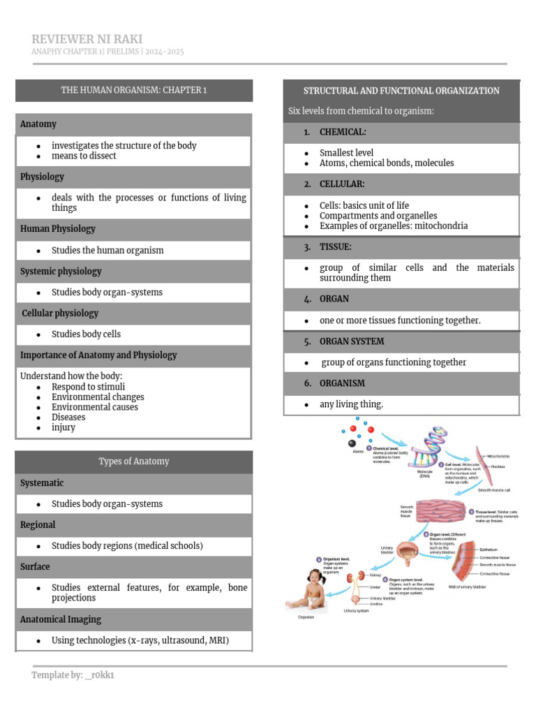 Anaphy Ch1 - Raki (Prelims) | PDF | Human Body | Peritoneum