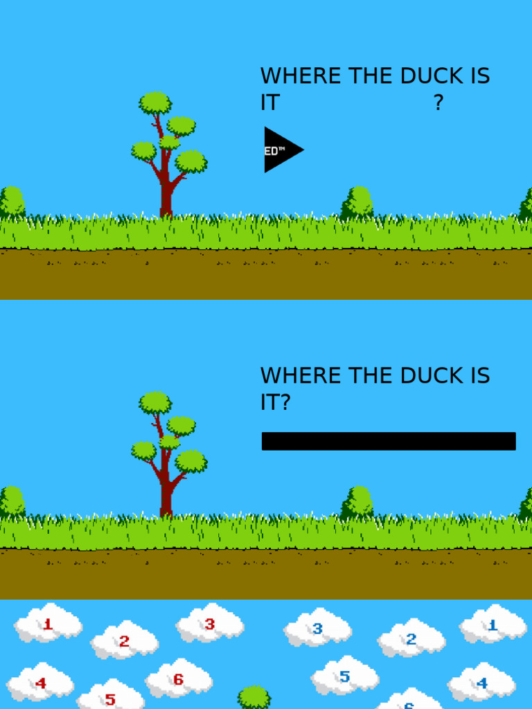 Duck Hunt Game Instructions and Traditions | PDF