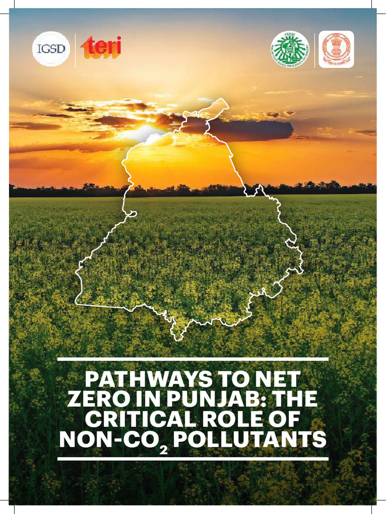 Punjab Report Final 18.08 | PDF | Climate Change Mitigation | Climate ...