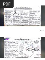 NUST PAST PAPERS SET 3 | PDF | Mass Media