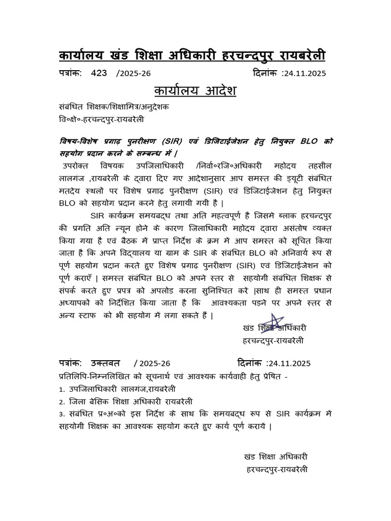 Blo Support Letter Hcp | PDF