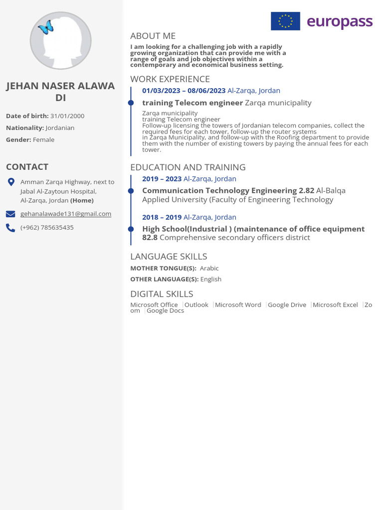 Telecom Engineer Resume Overview | PDF