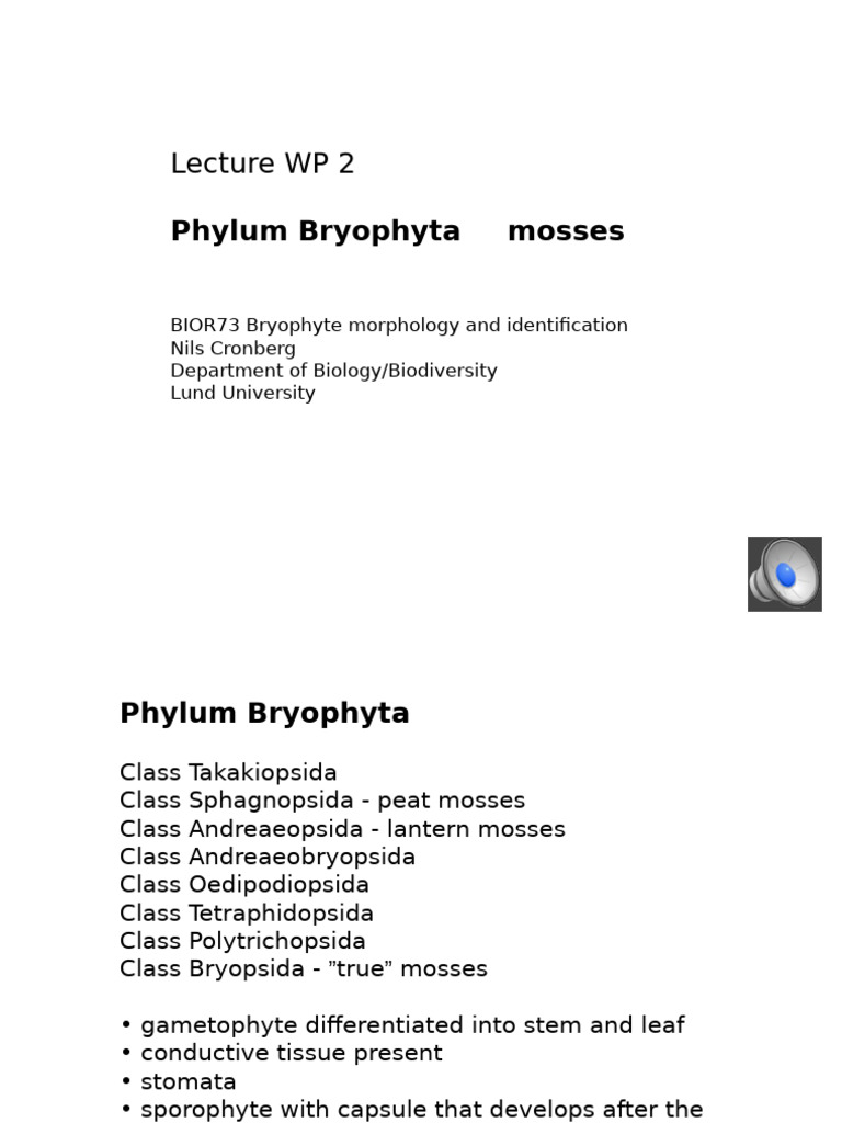 Bryophyta: Mosses Morphology Guide | PDF