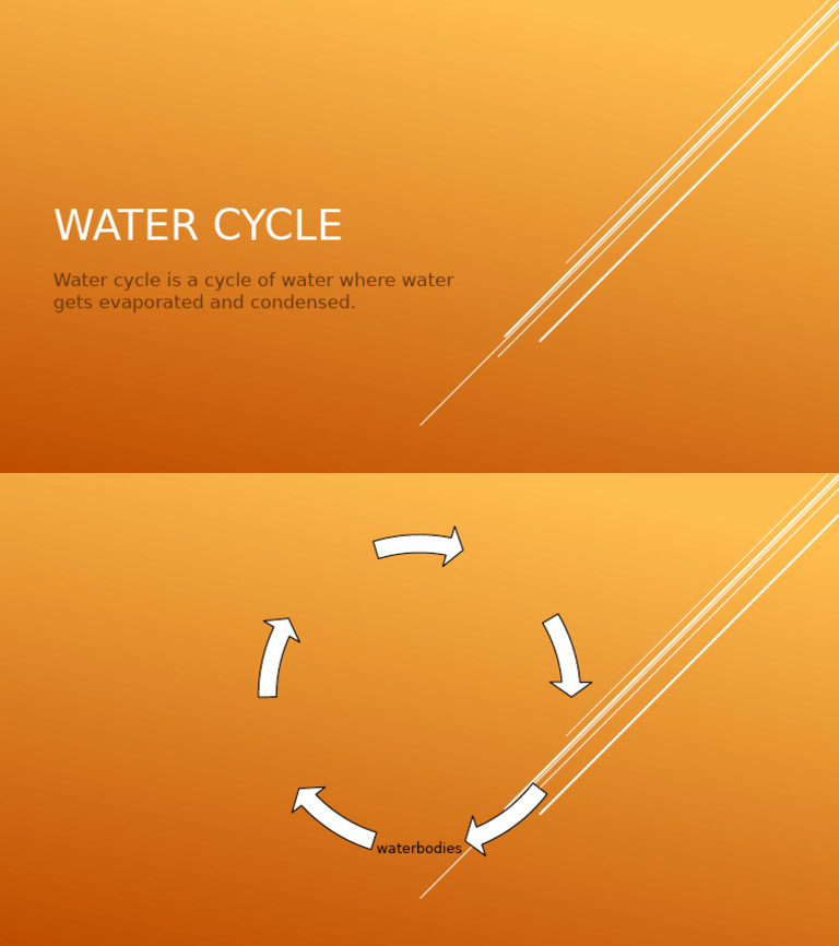 Water Cycle | PDF