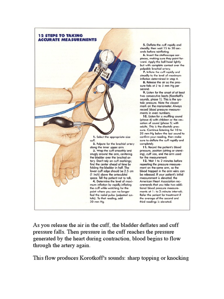 12 Step to Accurately Measuring Blood Pressure | Blood Pressure ...