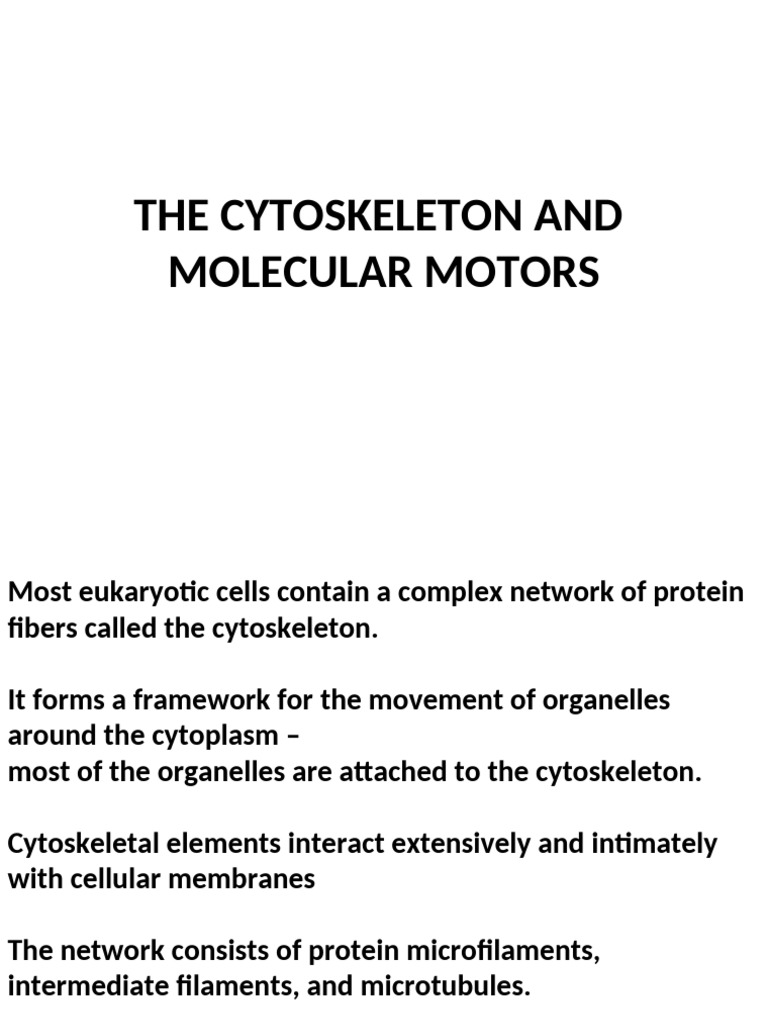 Cytoskeleton and Molecular Motors Overview | PDF | Cytoskeleton | Cell ...