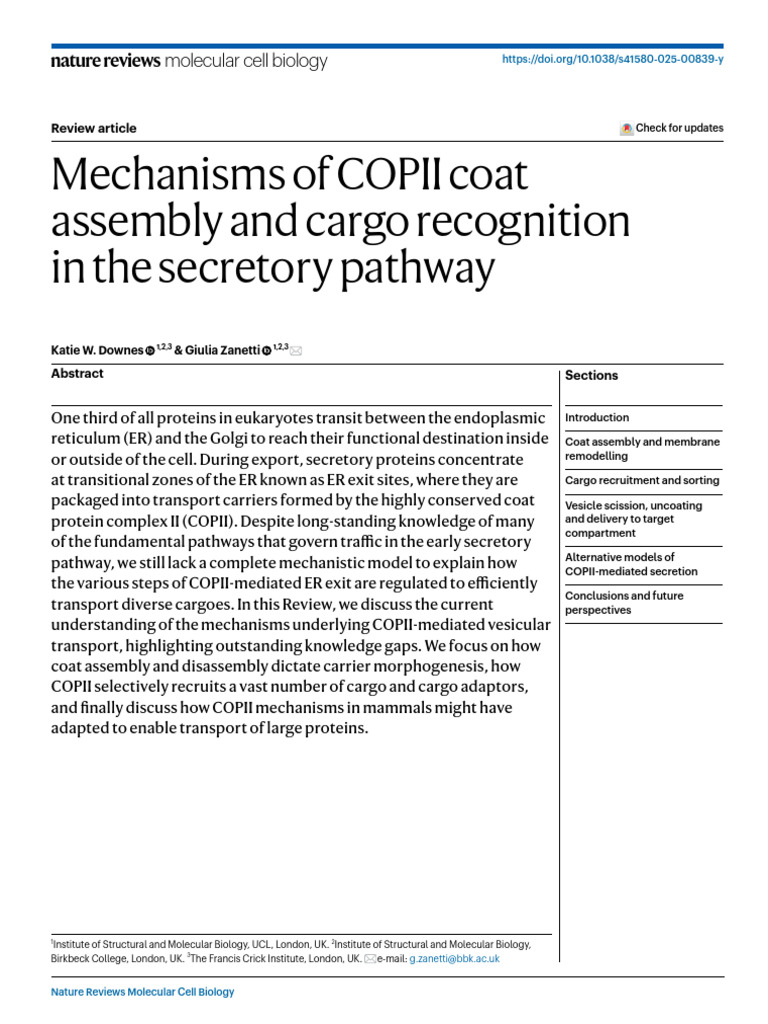 COPII Mechanisms in Secretory Pathway | PDF | Endoplasmic Reticulum ...