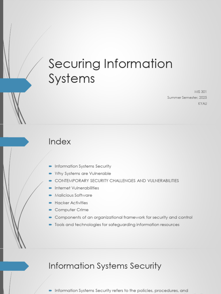 Information Systems Security Overview | PDF | Malware | Security