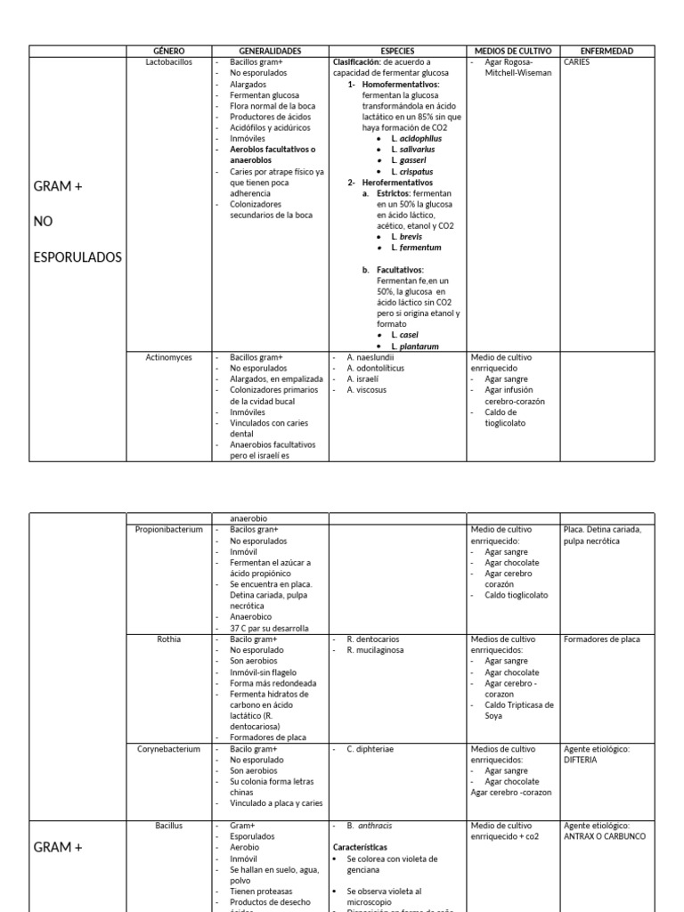 Clasificación y Cultivo de Bacterias Gram+ y Gram- | PDF | Salmonela ...