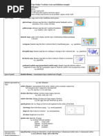 Updated Modified Monash Model 2019 | PDF