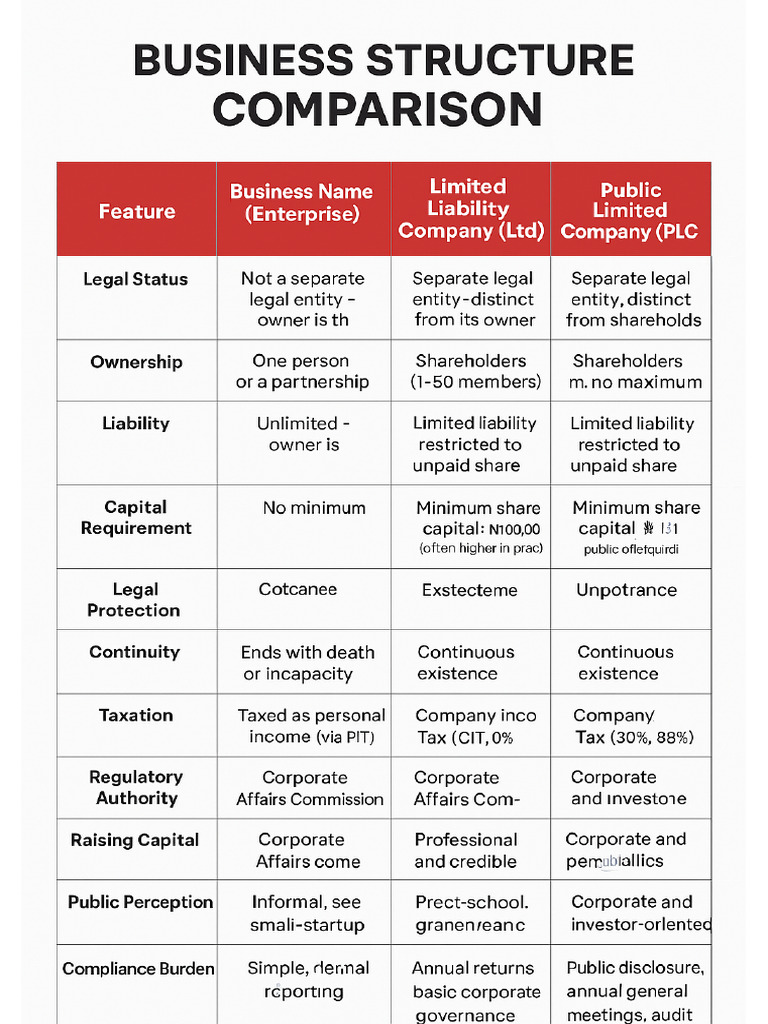 Business Structure Types | PDF