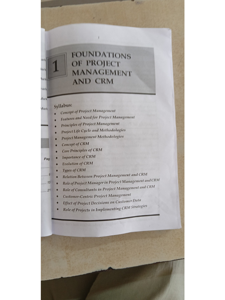 Project Management | PDF