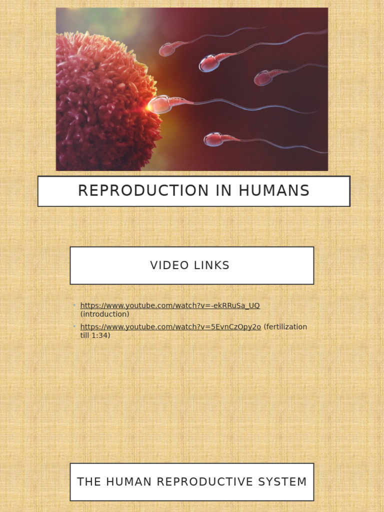 Reproduction in Humans | PDF | Menstrual Cycle | Luteinizing Hormone