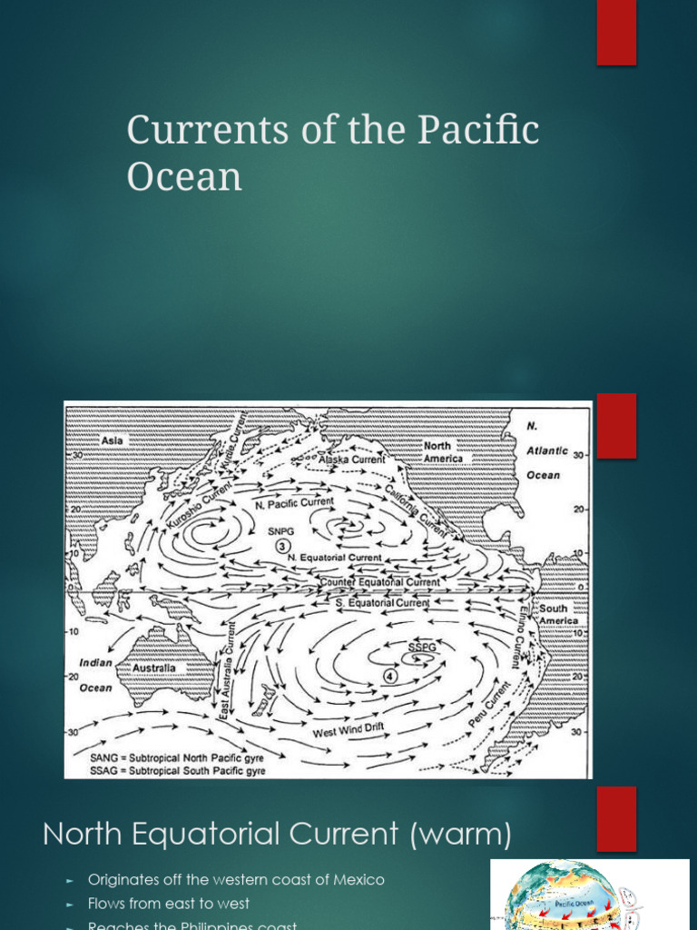 Currents of the Pacific Ocean | PDF | Pacific Ocean | Meteorology