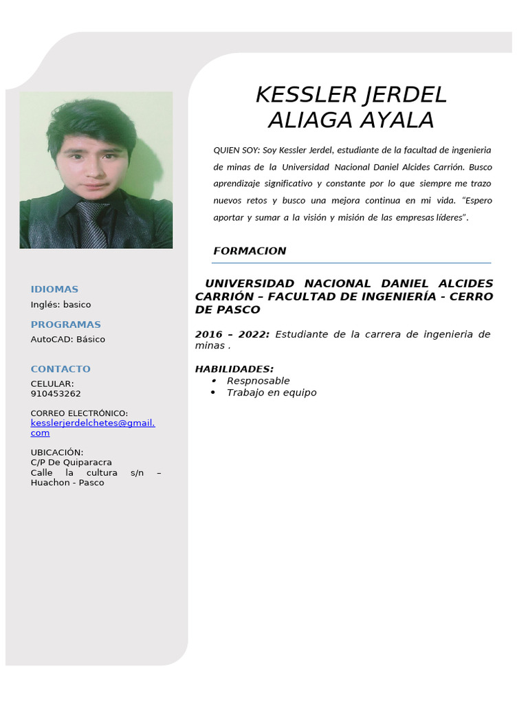 CV Aliaga Ayala Kessler Jerdel 2022 | PDF